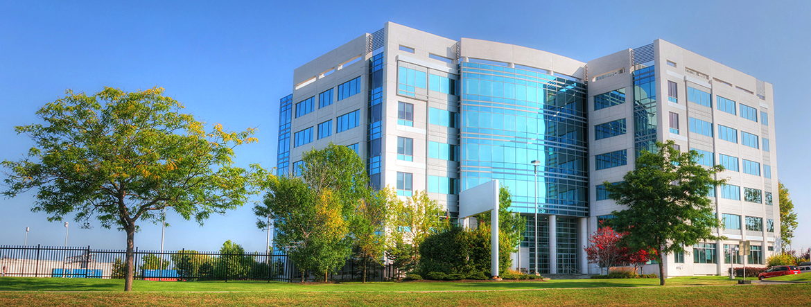 On-Site Ultrasound Training Sessions • Sonosession